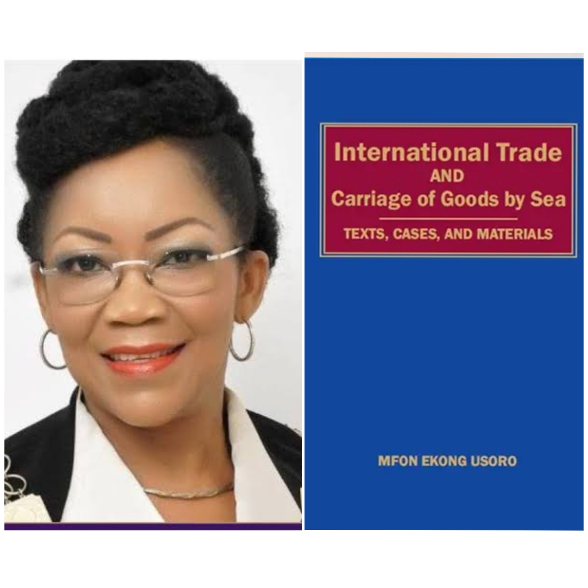 Mfon Usoro To Unveil New Book On 'International Trade' - The News Diet